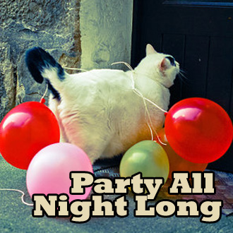 Weekend at Becca’s (aka “When the Cat’s Away….”) | Koch's Tour